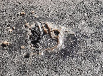 Klimakleber - Letzte Generation 🧡